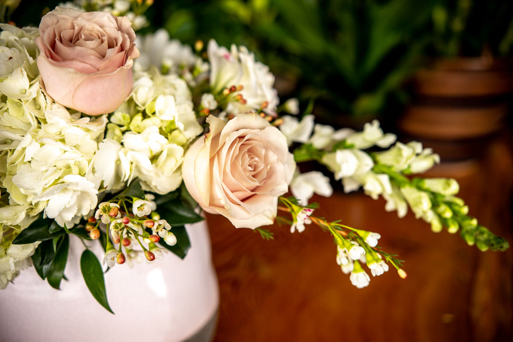 Petal and Kettle - Parksville florist